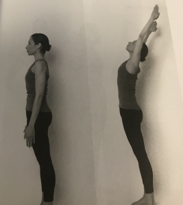 5 Easy Stretches for Releasing Neck and Shoulder Tension - Grace ...