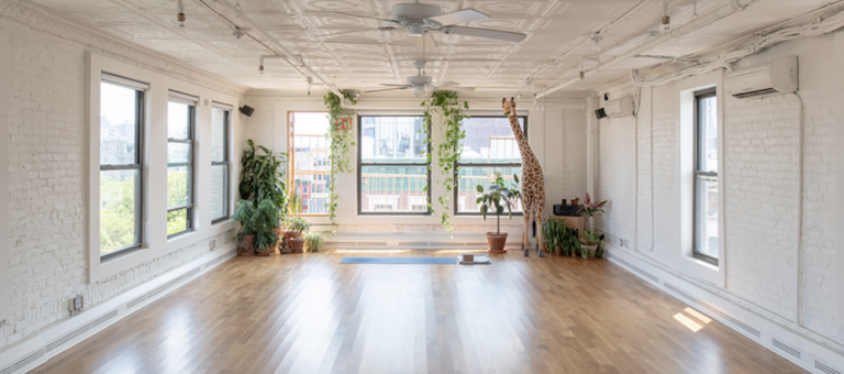 The 10 Best, Most Charming Yoga Studios in NYC - Grace & Lightness Magazine