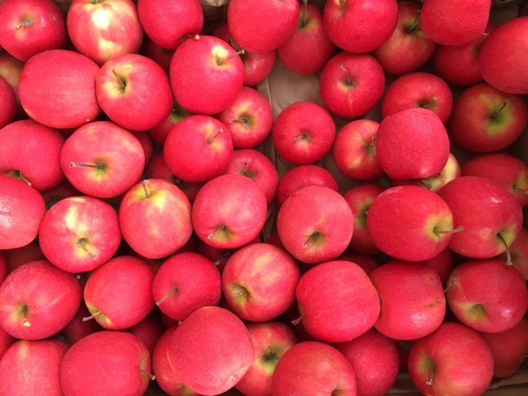 18 Cool Things to Do in Seattle, Washington - Grace & Lightness Magazine