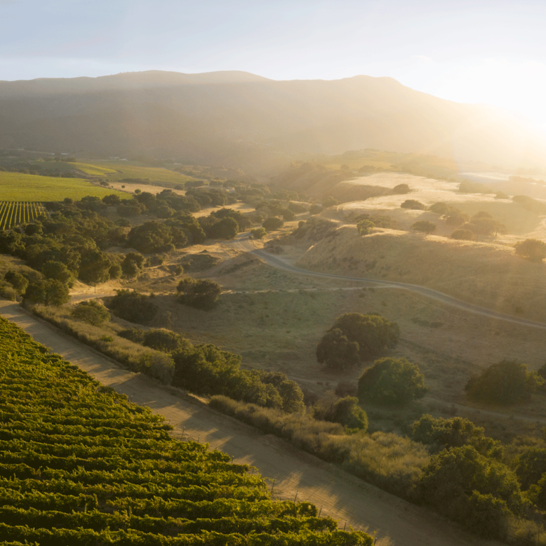 An Insider's Guide to Monterey, California - Grace & Lightness Magazine