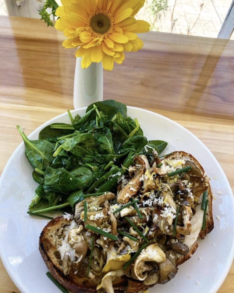 The 15 Best Restaurants in Charlottesville, Virginia (+ Other Locavore ...