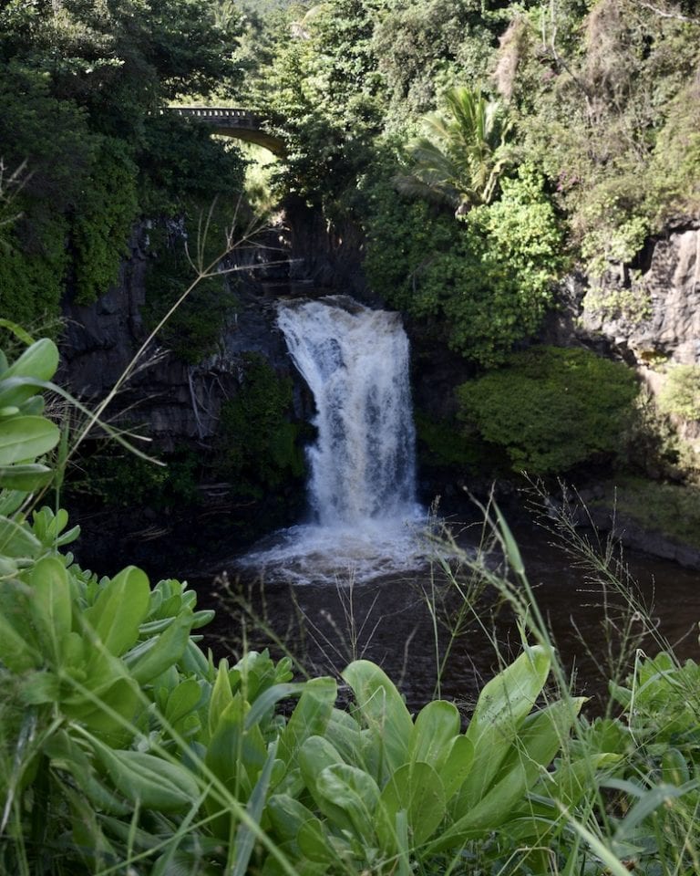 Everything You Need To Know About Driving The Road to Hana: 15 Can't ...