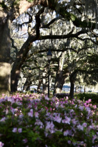 An Insider's Guide to Savannah, Georgia (22 Delightful Things To Do ...