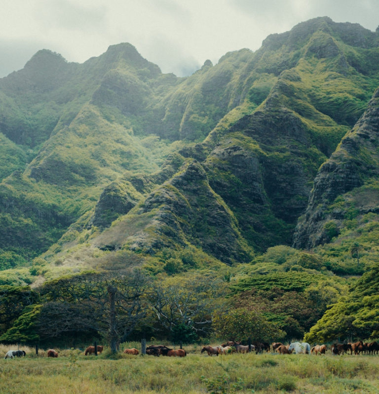 An Insider's Guide to O'ahu, Hawai'i (25 Cool Things to Do) - Grace ...