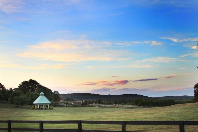 7 Cool Things To Do in Leesburg, Virginia - Grace & Lightness Magazine